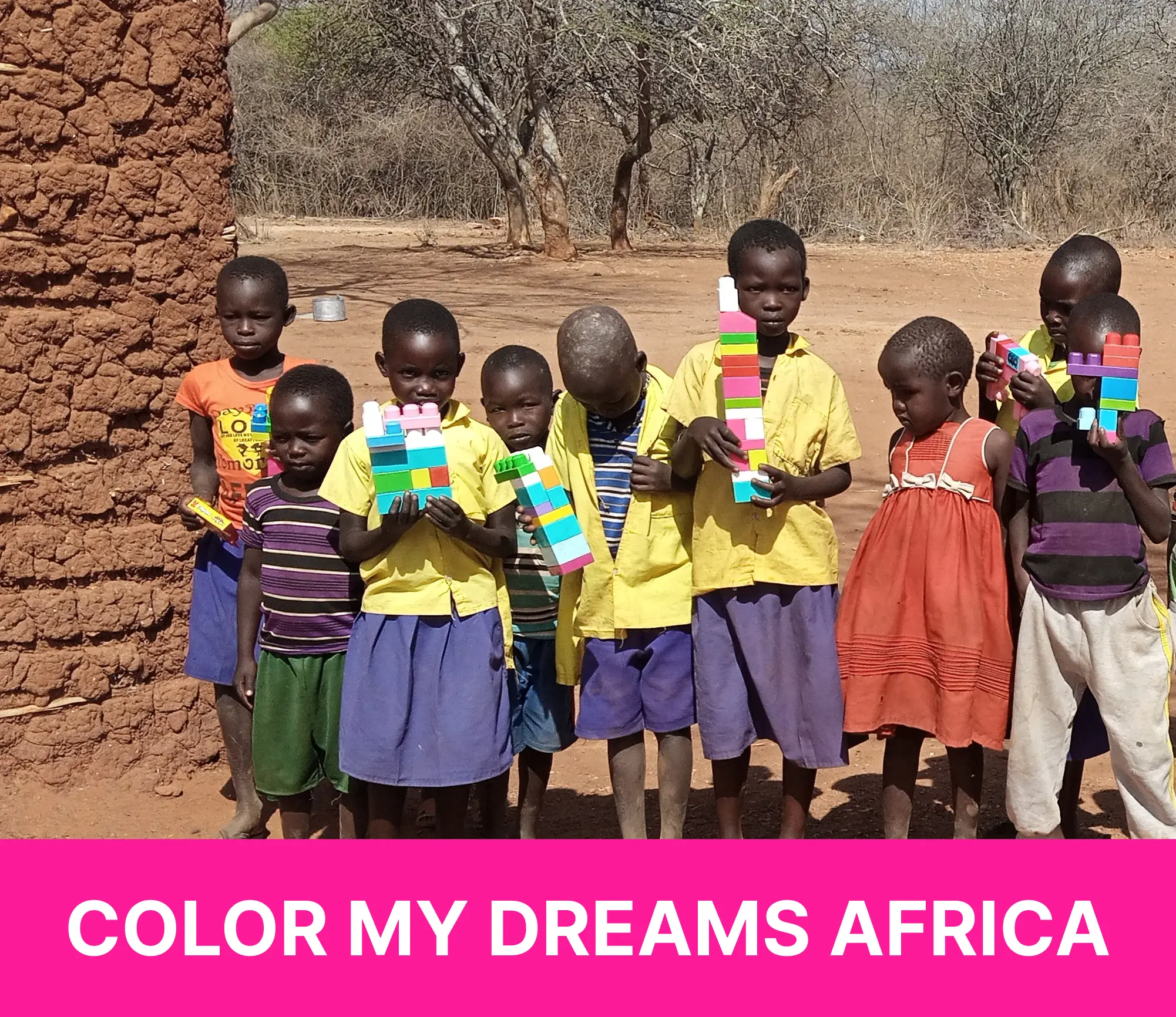 Donate - Color My Dreams Africa